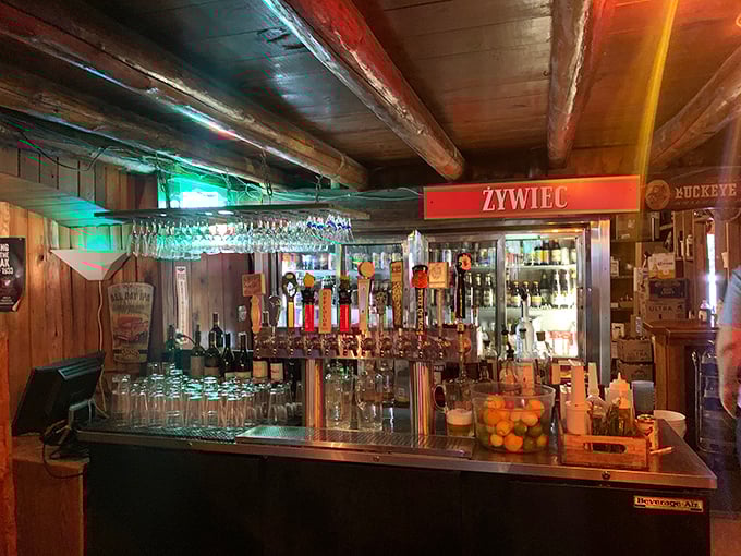 The bar area showcases an impressive selection surrounded by artistic details that reward careful observation and appreciation.