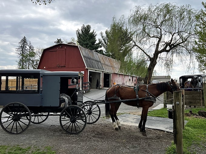 Horse parking only! This traditional barn and buggy scene is what happens when transportation runs on oats instead of octane.