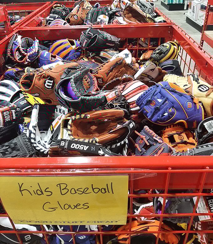 The baseball glove bin – a jumbled archaeological dig where future MLB stars and weekend warriors alike can unearth leather treasures at little league prices.
