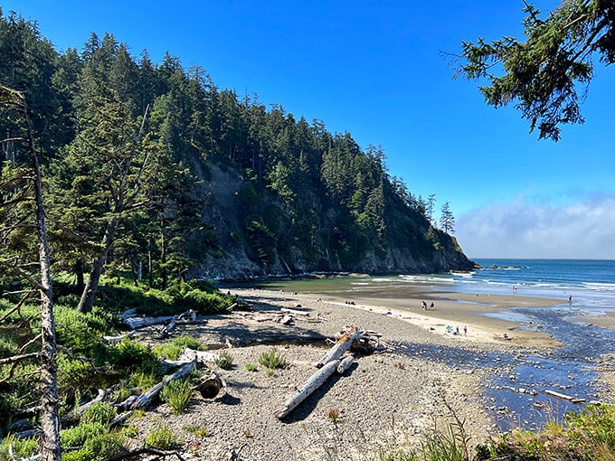Driftwood sculptures line the shore, carved by storms into art pieces no gallery could ever afford.