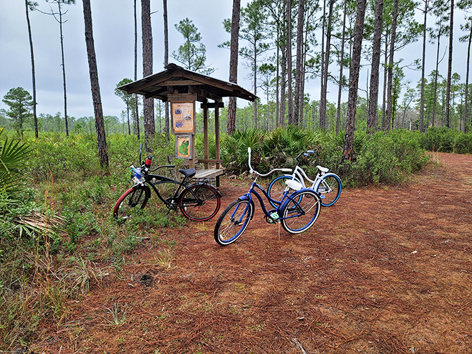Bicycles parked at a trail junction—proof that sometimes the best horsepower comes from your own two legs.