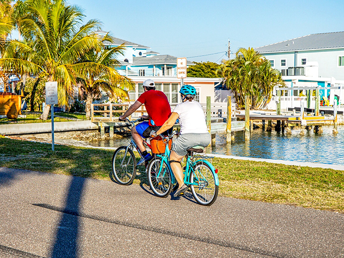 Cycling along waterfront paths—where "getting your steps in" comes with bonus dolphin sightings and vitamin D supplements from above.