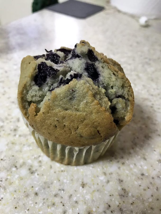 This blueberry muffin isn't just breakfast—it's edible evidence that sometimes the simplest pleasures are worth crossing state lines for.