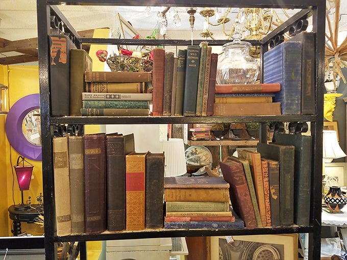 Leather-bound wisdom awaits new shelves. These vintage books aren't just reading material—they're time capsules with stories beyond their pages.