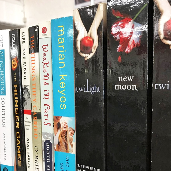 Literary treasures lined up like old friends—from vampire romances to classic thrillers, all waiting for their next reader.