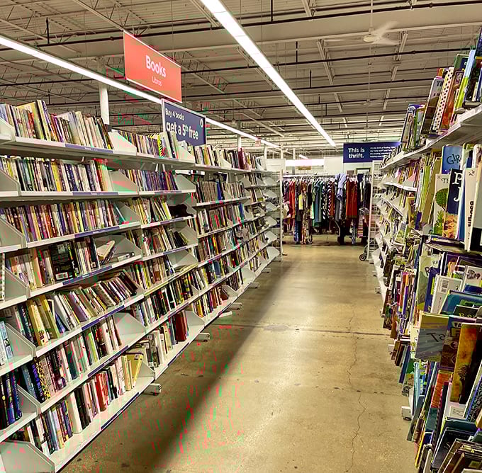 The book aisle—a paper paradise where dog-eared paperbacks and forgotten bestsellers wait to transport you for just a couple of dollars.