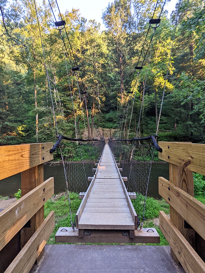The swinging bridge offers equal parts thrill and terror—like a first date that's going surprisingly well but could turn at any moment.