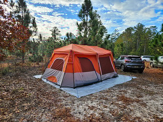 Camping at Lake Waccamaw—where five-star accommodations mean a million visible stars and the sweet symphony of crickets.