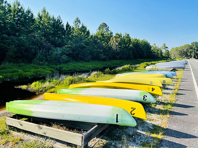 A rainbow of canoes awaiting adventure—each numbered so rangers can find you when you inevitably take that wrong turn.