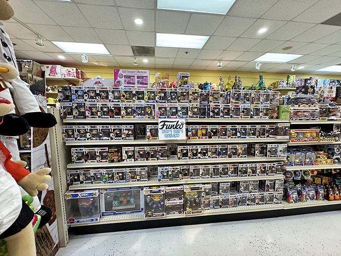 The Funko Pop display that's basically a pop culture museum where you can take the exhibits home. Collectibles that celebrate fandom without emptying wallets.