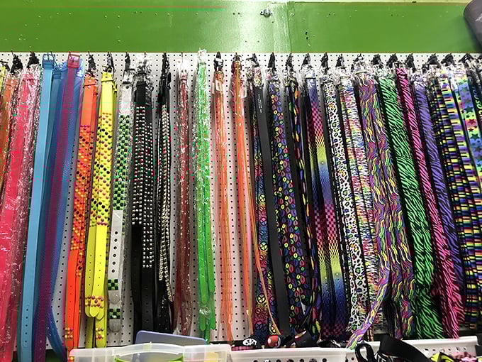 Belt bonanza! This colorful collection proves accessories are like punctuation marks for your outfit—and here, you can afford to make an exclamation point!