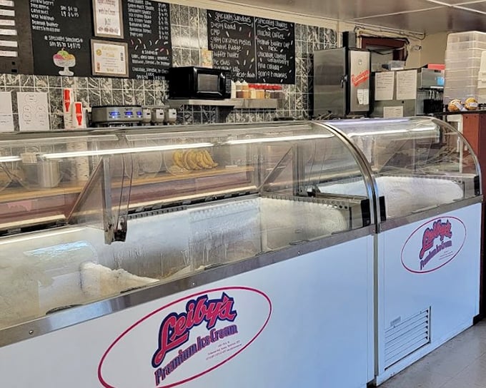 Behind this counter, ice cream dreams come true—Nelson's premium flavors standing at attention, ready for scooping duty.