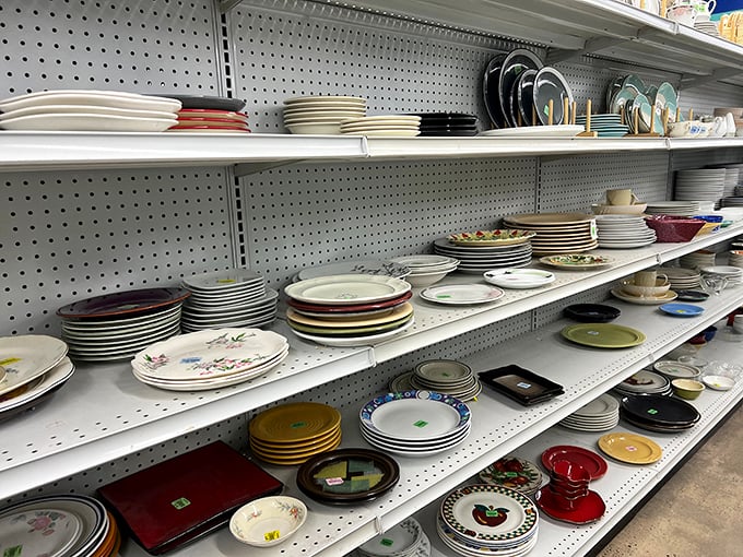 Dish department dreams come true—where mismatched plates become "eclectic collections" and nobody judges your flamingo-themed serving platter.