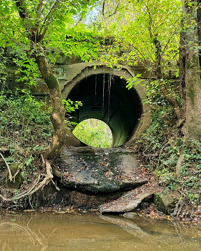 Not all passages are wooden—this stone culvert offers its own humble contribution to Morgan County's rich transportation history.
