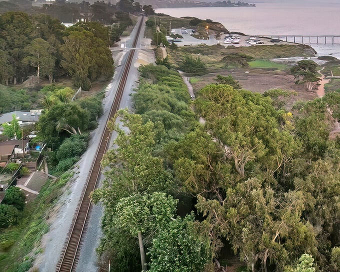 Railroad tracks cutting through coastal wilderness create the perfect metaphor. In Carpinteria, modern convenience and untouched nature maintain a respectful, beautiful balance.