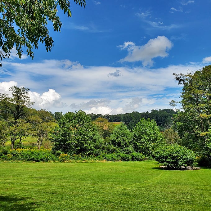 A meadow that looks like it was designed by a collaboration between Bob Ross and Mother Nature during their most inspired moment.