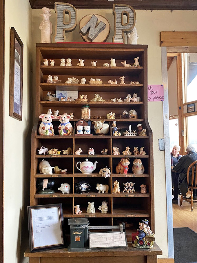 Not just pig figurines—a shrine to porcine perfection. This collection tells you they're serious about their namesake animal in all the right ways.