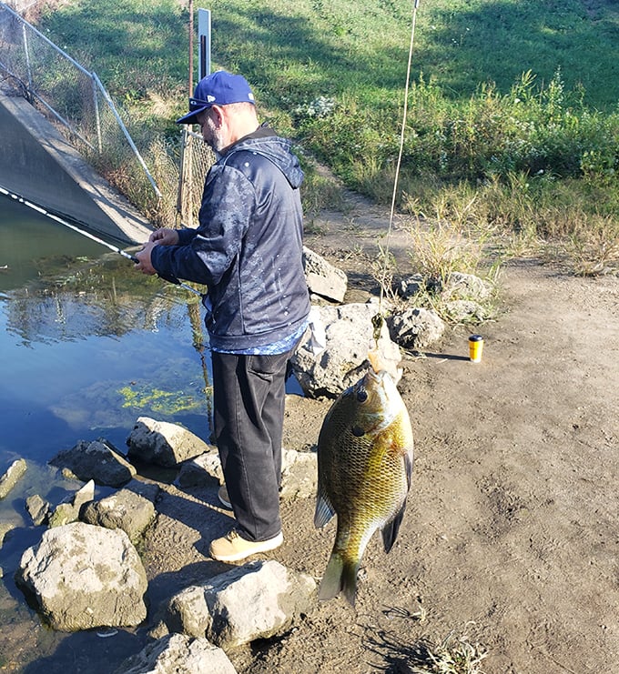 The fisherman's triumphant moment—proof that the "one that got away" stories sometimes have photographic evidence to back them up.