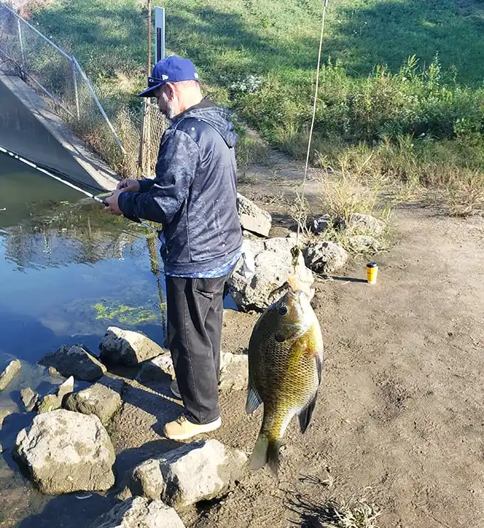 The fisherman's triumphant moment—proof that the "one that got away" stories sometimes have photographic evidence to back them up.