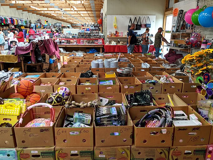 Organized chaos at its finest—these cardboard treasure chests hold potential gold mines of nostalgia and practical finds alike.