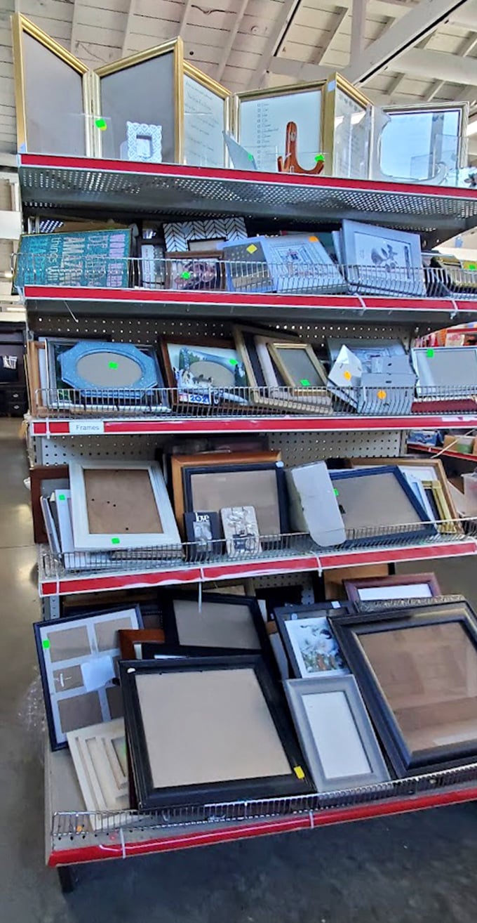 The frame section offers endless possibilities for your walls – from minimalist modern to ornate gold that screams "important painting goes here!"