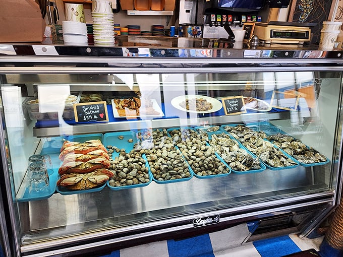 The seafood display case – where clams and oysters lounge on ice like celebrities at a very cold beach resort, waiting for their moment in the culinary spotlight.