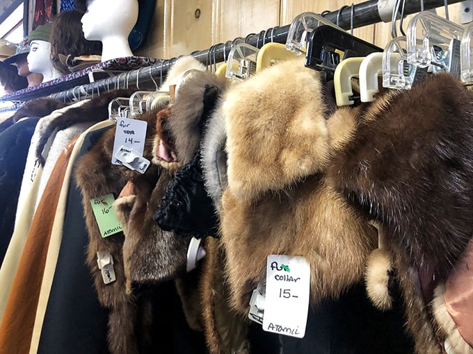 Fur collars that remember when glamour meant something – and didn't require a second mortgage.