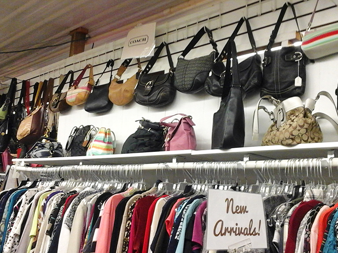 Designer purses find second lives hanging in neat rows. That Coach bag probably cost someone a week's salary once—now it's your bargain statement piece.