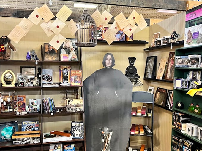 Professor Snape stands sentinel among Harry Potter collectibles and floating acceptance letters. Hogwarts has established an unofficial embassy in Lakeland, no owl required for entry.
