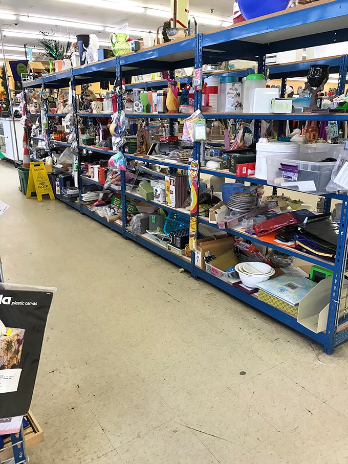 Blue shelving creates canyons of possibility, with housewares on one side and clothing on the other—a thrifter's paradise.
