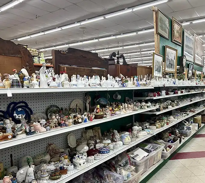 Porcelain figurines and collectibles lined up like an audience waiting for their curtain call. One person's downsizing becomes another's delightful discovery.