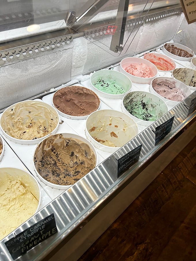 The display case reveals a rainbow of flavors—each container a doorway to a different sweet adventure.