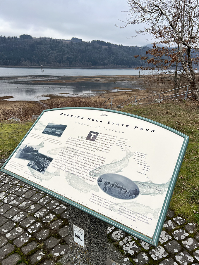 An informational sign that tells the story of the Columbia River's dramatic past—like a history book that doesn't put you to sleep.
