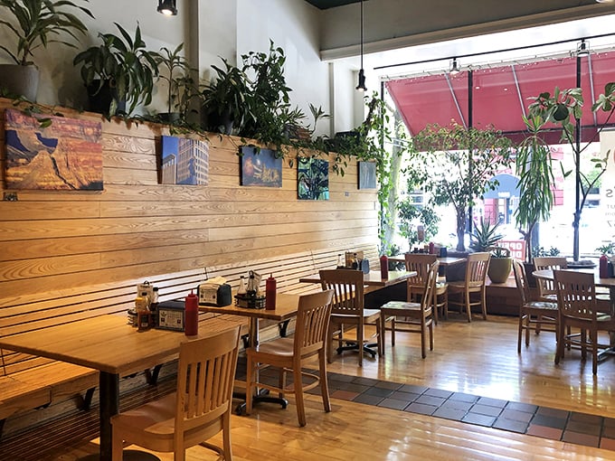 Plants cascade from shelves while natural light floods the space—proving that vegetables belong in the décor as much as on your plate.