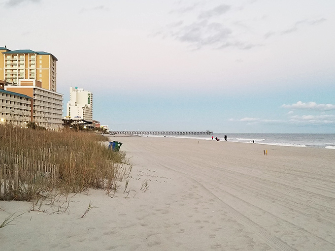 Where civilization meets wilderness. The contrast between beachfront development and untouched shoreline tells Delaware's coastal story.