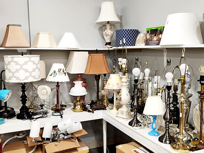 The lamp section illuminates possibilities for every décor style, from grandma-chic to mid-century modern, all waiting for their switch to be flipped.