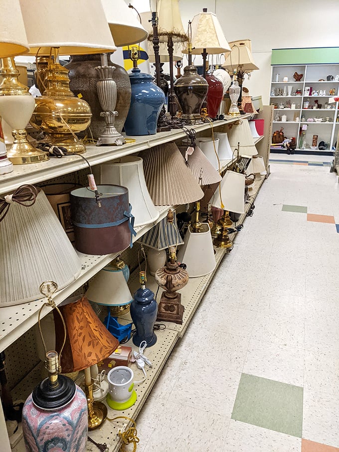 The lamp section glows with potential—from grandmillennial chic to mid-century modern, all waiting for the right switch to be flipped.