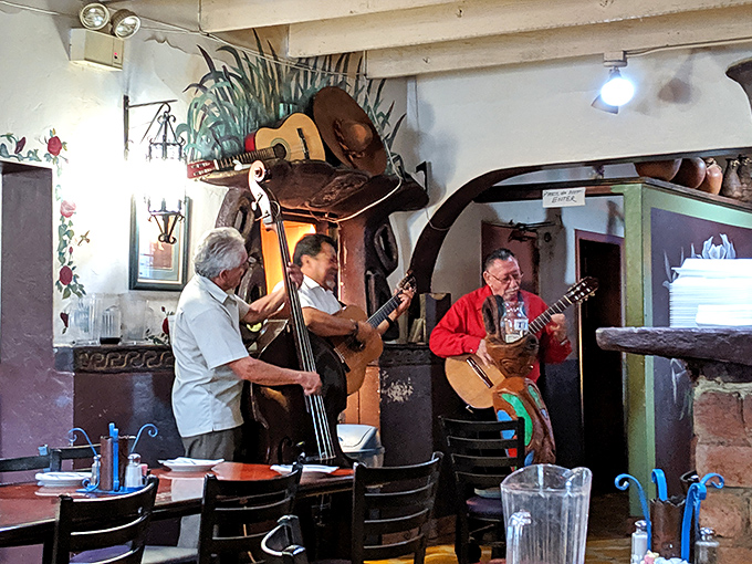 Live music transforms dinner into an event where your enchiladas get a soundtrack worthy of their magnificence.
