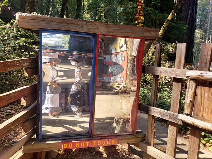 These funhouse mirrors transform visitors into impossible shapes – proving you don't need Instagram filters to distort reality.