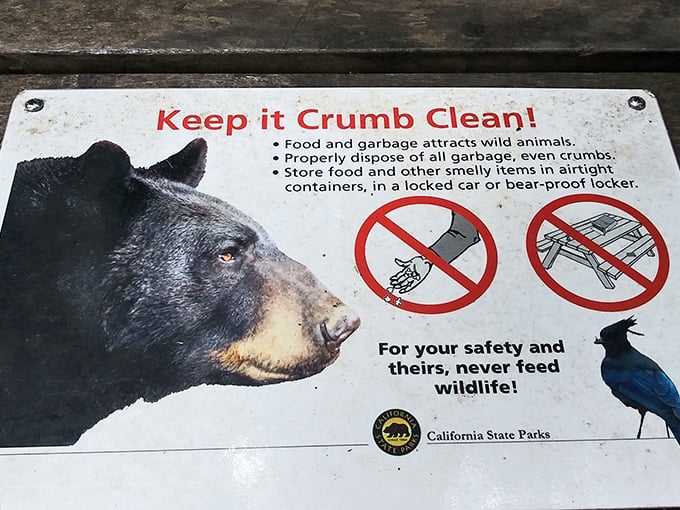 "Keep it Crumb Clean!" – sage advice from California's bears, who'd prefer we didn't turn their forest home into an all-you-can-eat buffet.
