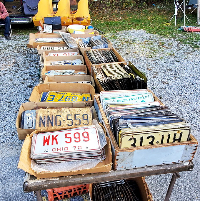 License plates that have seen more of America than most Americans. Each rusty rectangle tells a story of road trips, family vacations, and possibly a few speeding tickets.