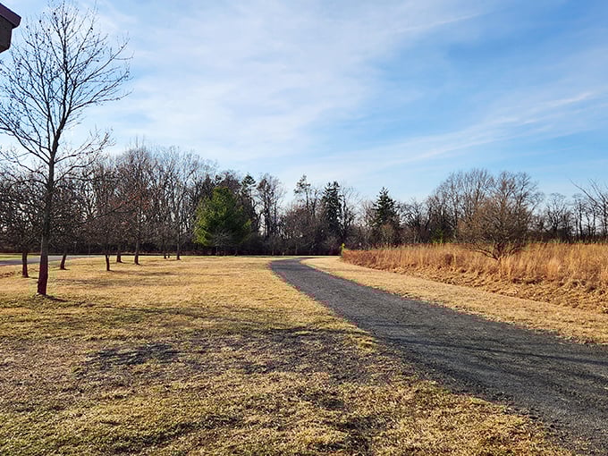 Winter-dormant trails promise adventure when spring returns – the path beckoning like nature's own yellow brick road.
