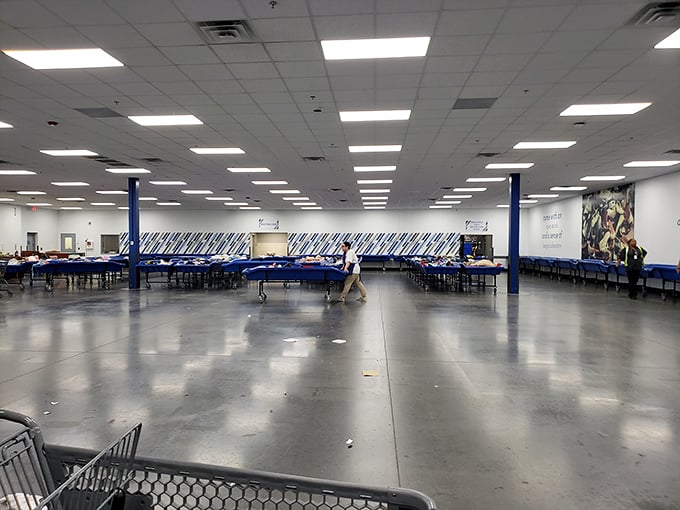 The warehouse space stretches endlessly, promising hours of treasure hunting under fluorescent lights.