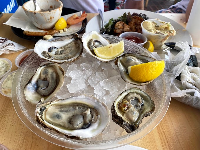 Oysters on the half shell, glistening like pearls on ice—nature's perfect appetizer with nothing more than a squeeze of lemon needed.