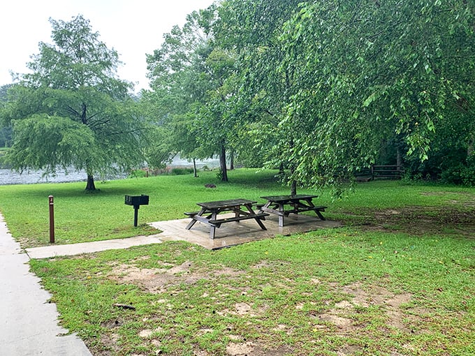 Picnic tables under whispering trees—where sandwiches taste better and conversations linger longer than they do anywhere else.