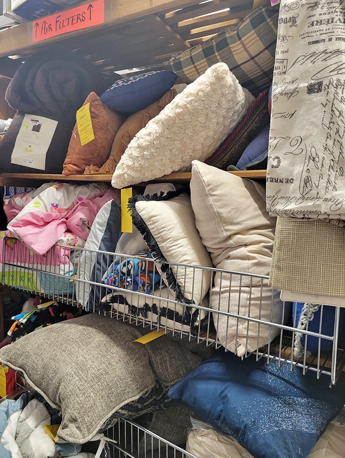 Pillow mountain: where comfort meets affordability. From floral patterns to solid blues, your couch's new best friends are waiting.