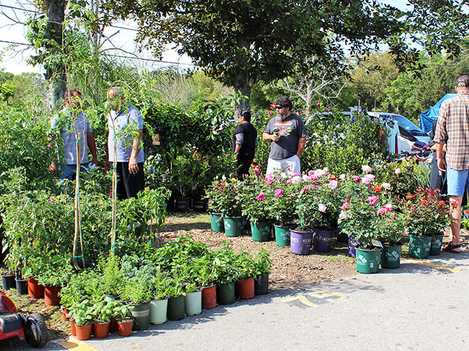 A plant paradise where green thumbs and brown thumbs alike can find hope in potted form.
