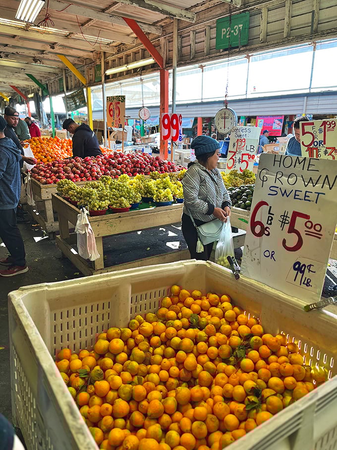 California's agricultural bounty on full display. These tangerines didn't travel from another hemisphere – they practically rolled here from nearby orchards.