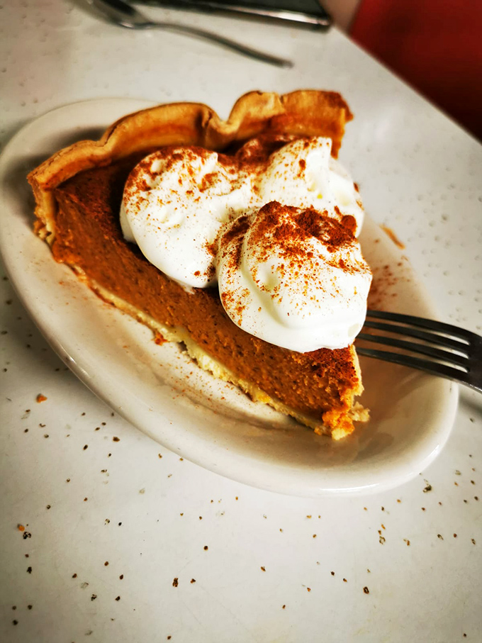 Pumpkin pie topped with whipped cream and cinnamon – autumn on a plate, regardless of what season it actually is outside.