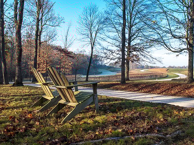 Two Adirondack chairs invite contemplation of nature's slow dance. The perfect pit stop for those who understand that travel isn't just about movement.